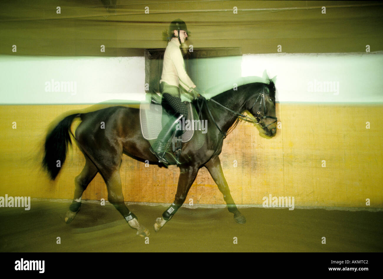 Boy with horse in riding hall hi-res stock photography and images - Alamy