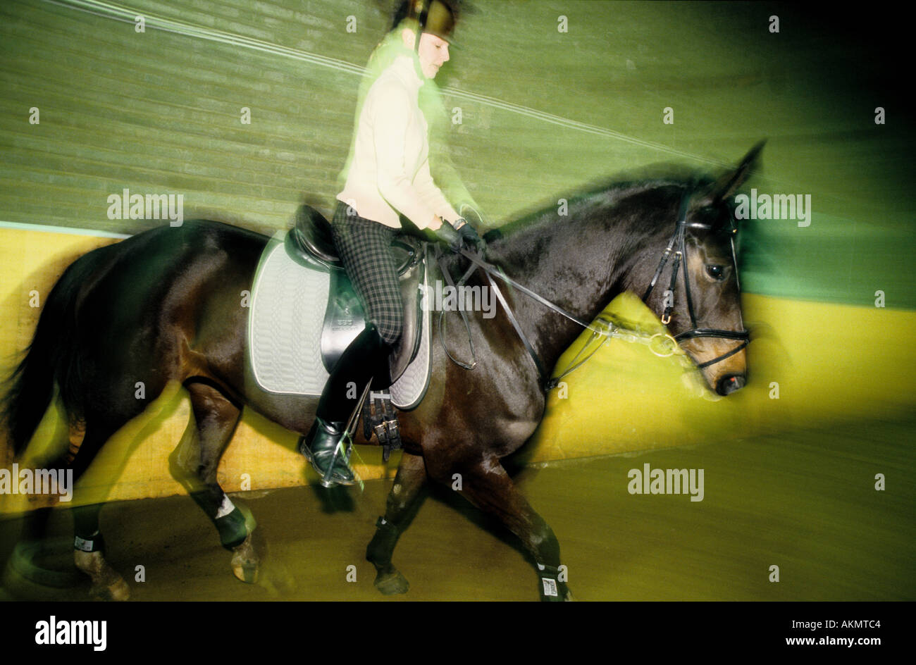 Boy with horse in riding hall hi-res stock photography and images - Alamy
