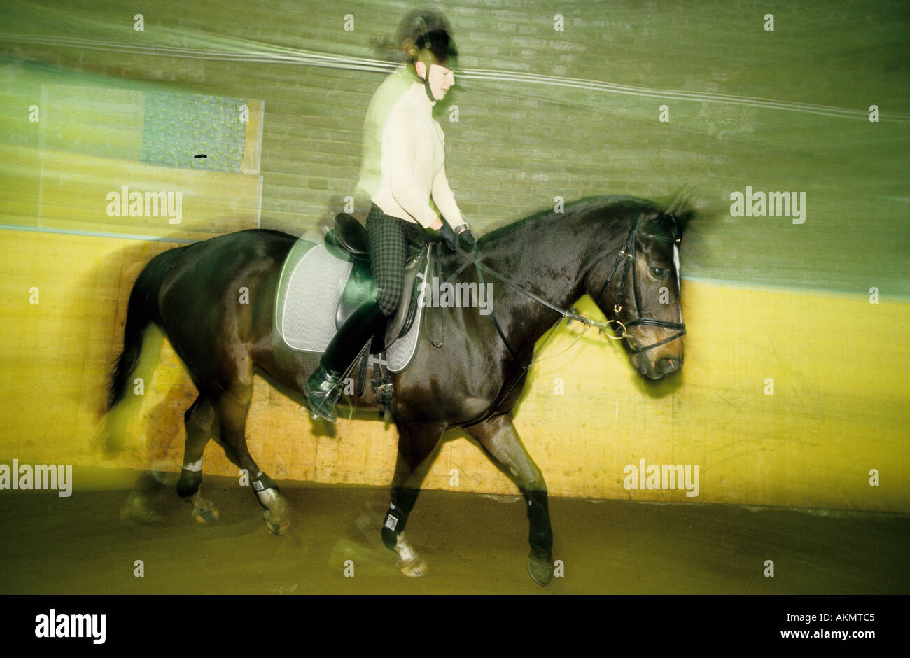 Young woman and her horse riding hall hi-res stock photography and ...