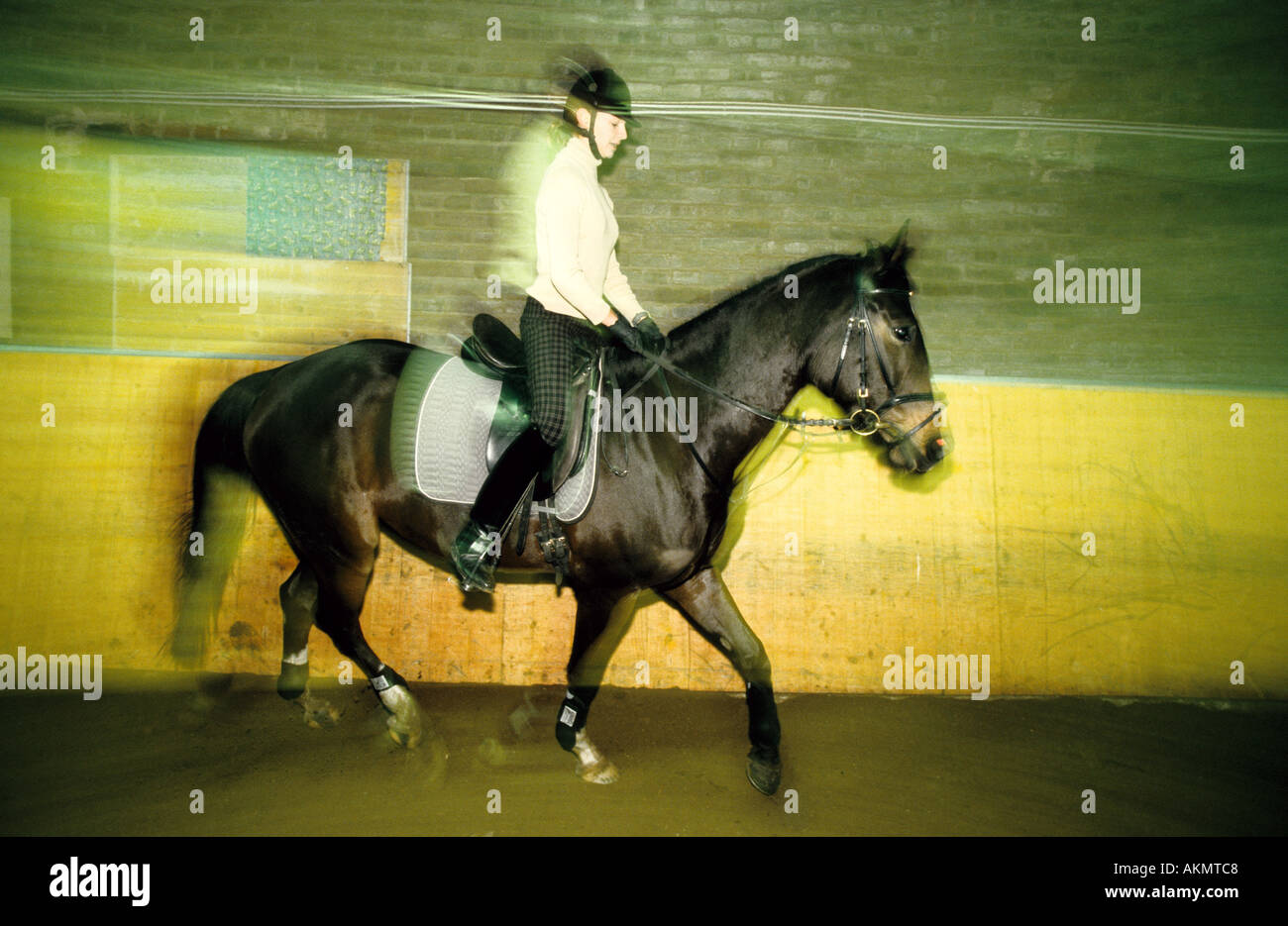Boy with horse in riding hall hi-res stock photography and images - Alamy