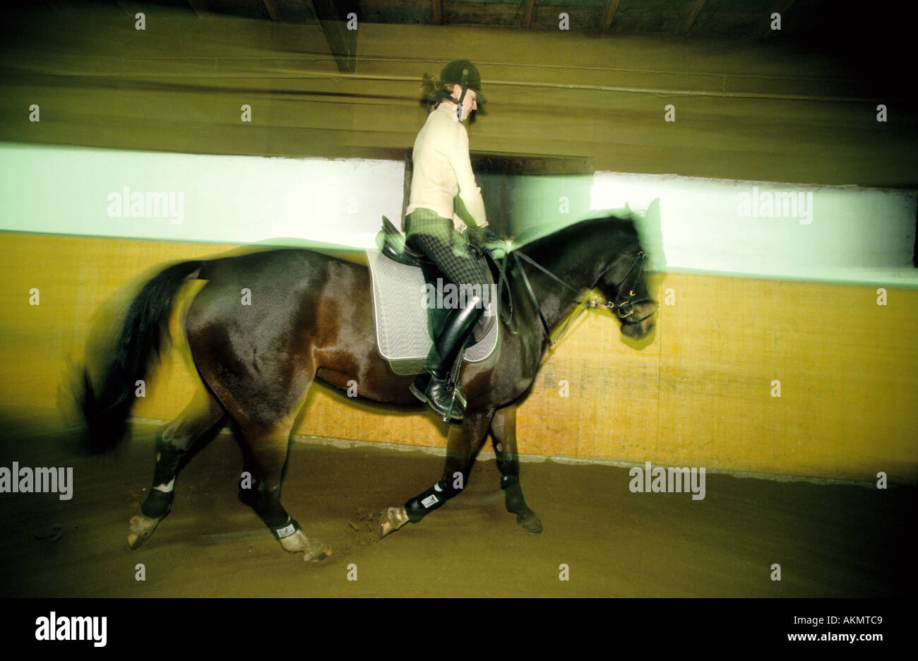 Boy with horse in riding hall hi-res stock photography and images - Alamy