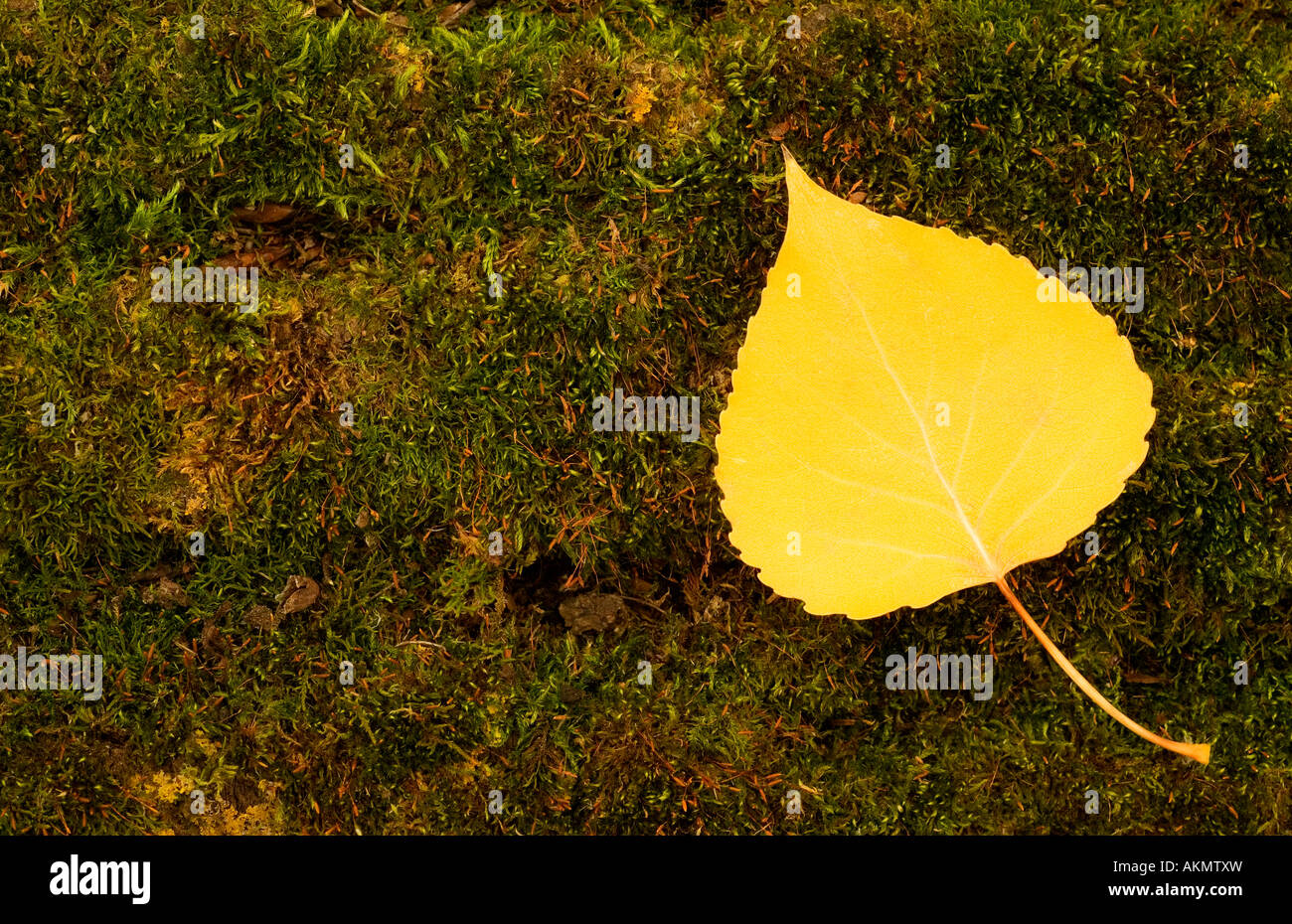 Overheadview hi-res stock photography and images - Alamy