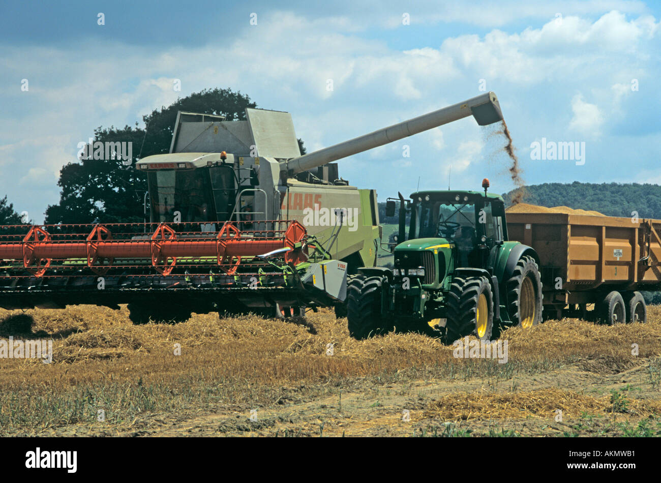 SHROPSHIRE UK Combine harvester emptying barley grains into a tractor ...