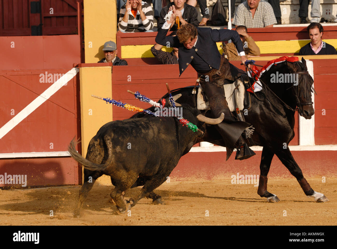 Bull fighting horse hi-res stock photography and images - Alamy
