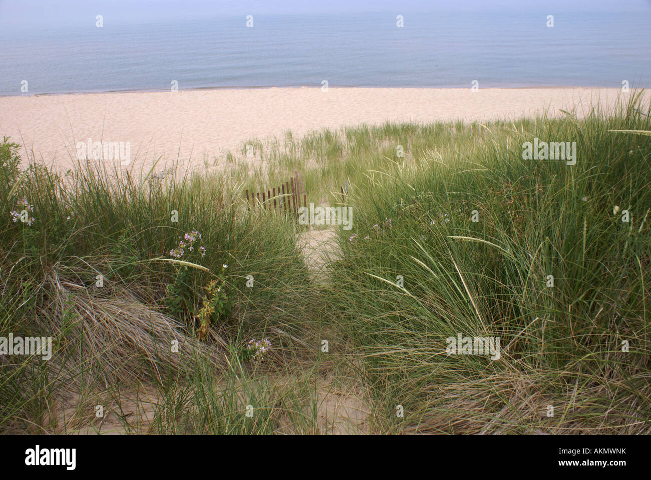 Natural Beach Front Stock Photo - Alamy