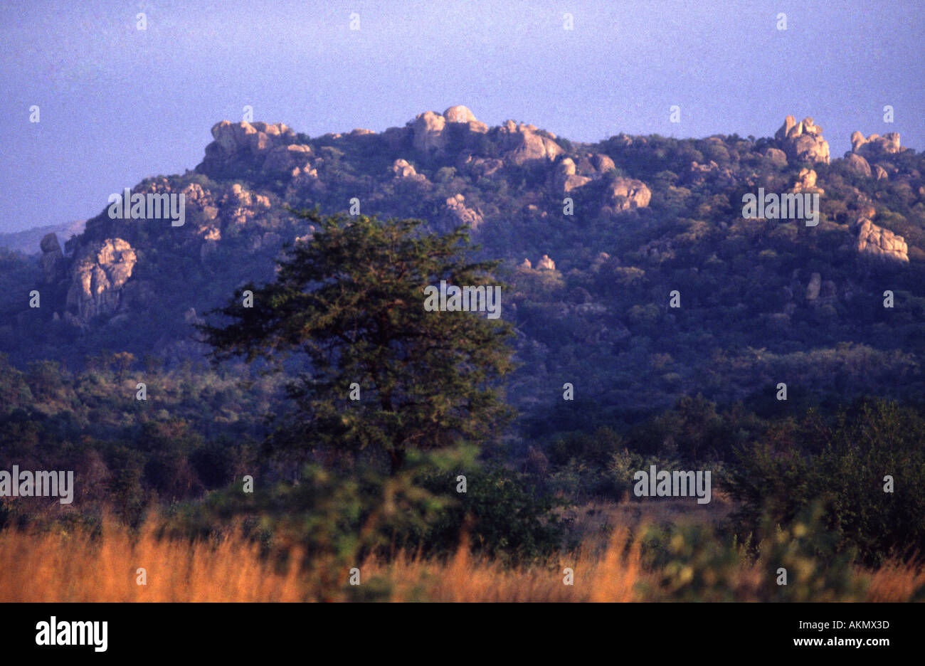 Dwalas hi-res stock photography and images - Alamy