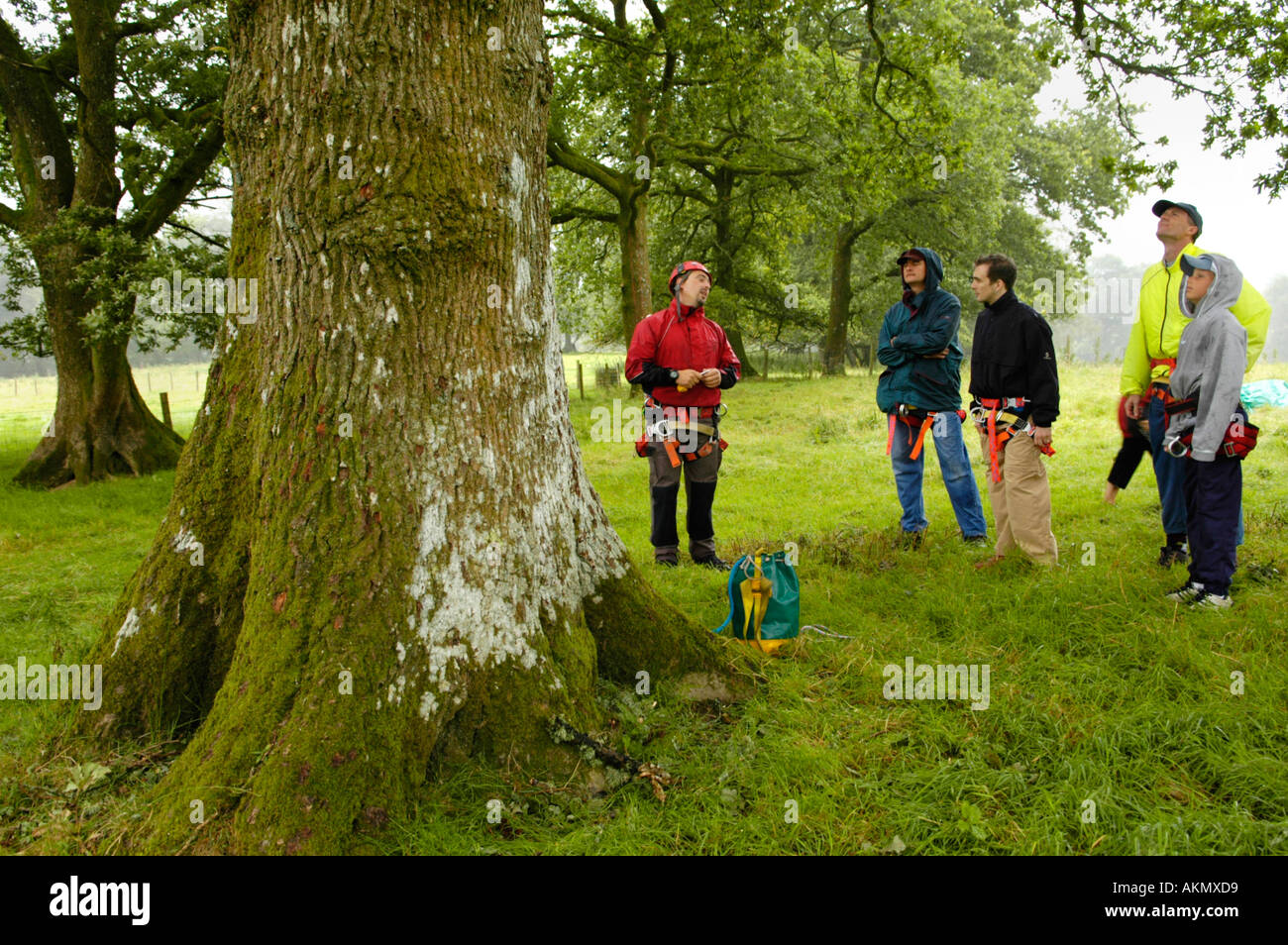 Instructor showing students how climb a tree on a tree climbing course ...
