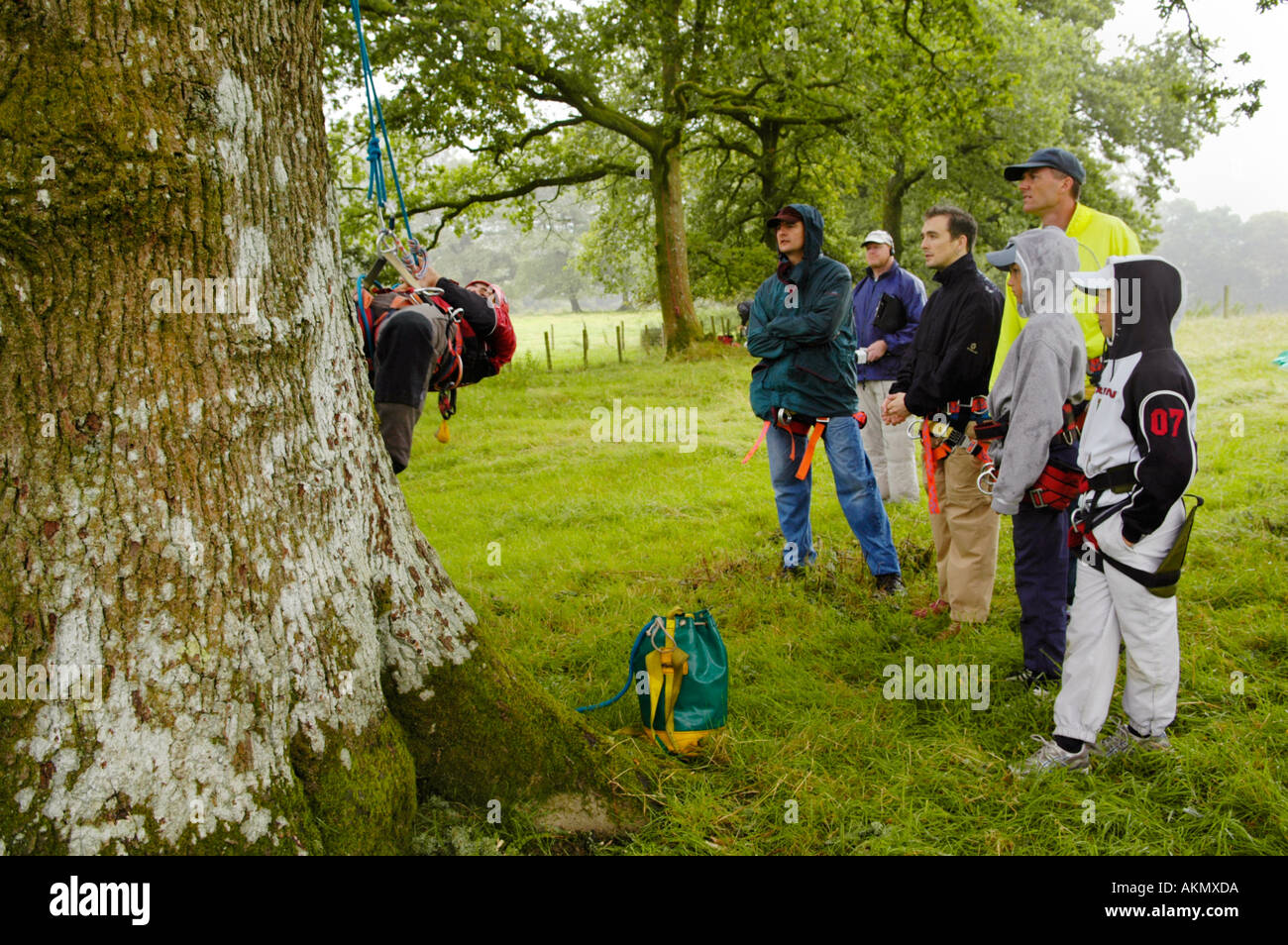 Instructor showing students how climb a tree on a tree climbing course ...