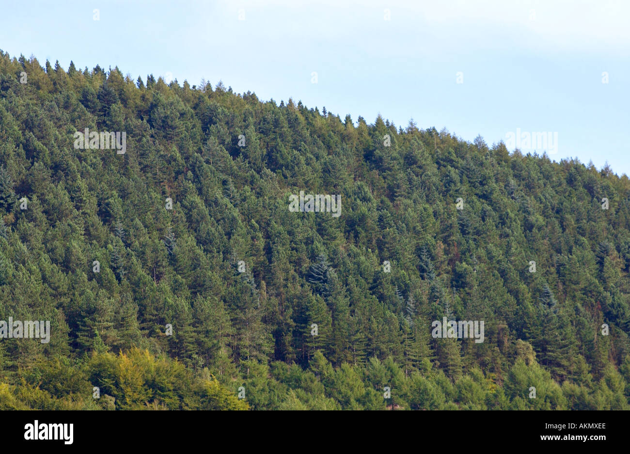 Cwmcarn forest drive south wales hi-res stock photography and images ...