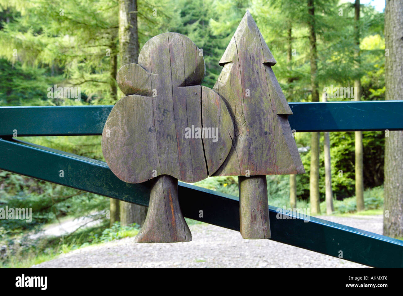 Carved wooden sculpture of deciduous and conifer trees at Cwmcarn ...