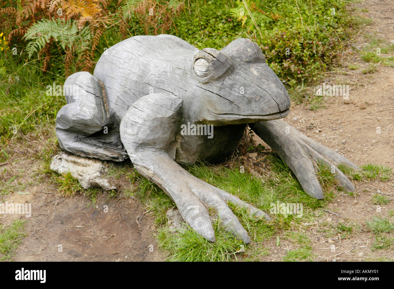 Wooden carved frog hi-res stock photography and images - Alamy