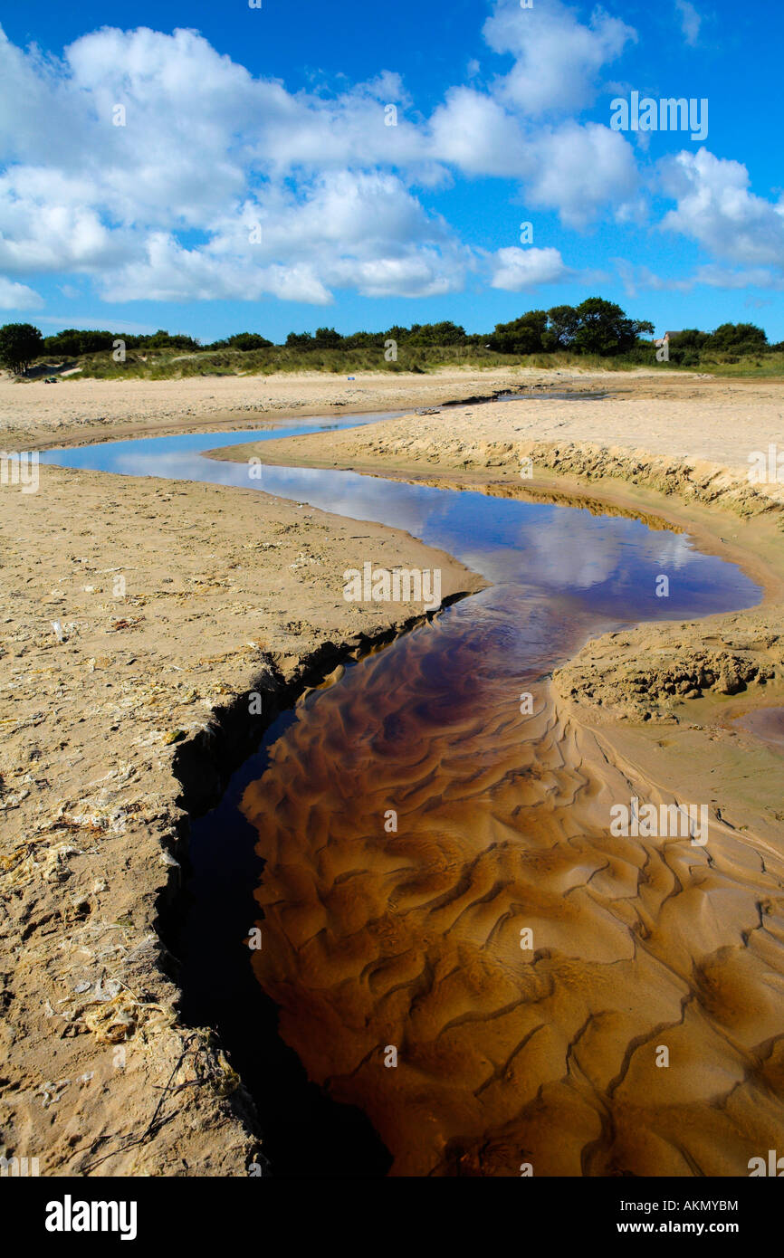 Studland Beach Summer High Resolution Stock Photography and Images - Alamy
