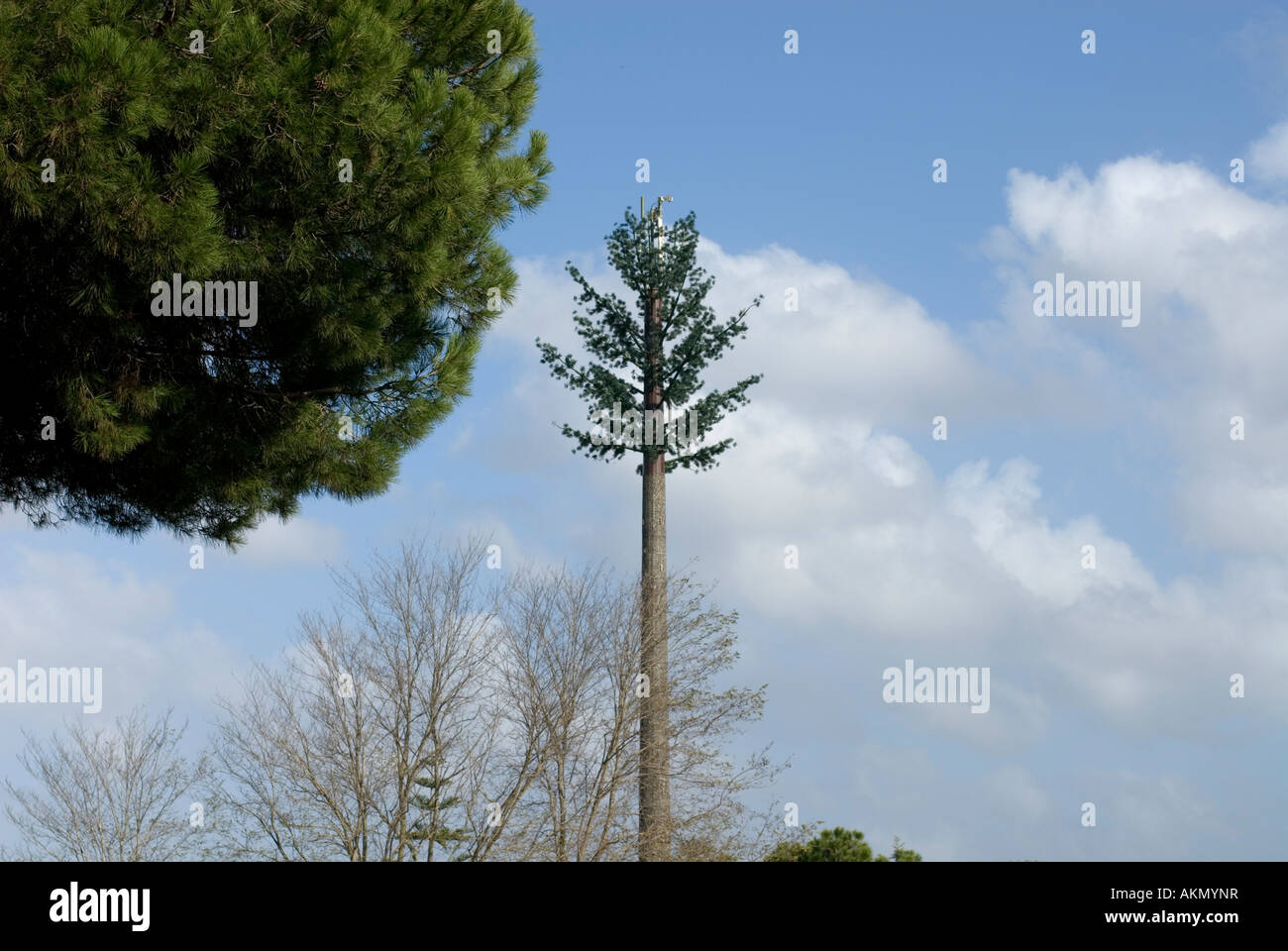 Camouflaged cell tower hi-res stock photography and images - Alamy