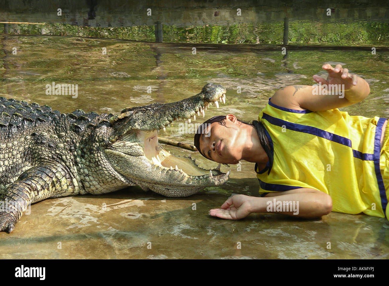Crocodile head man hi-res stock photography and images - Alamy