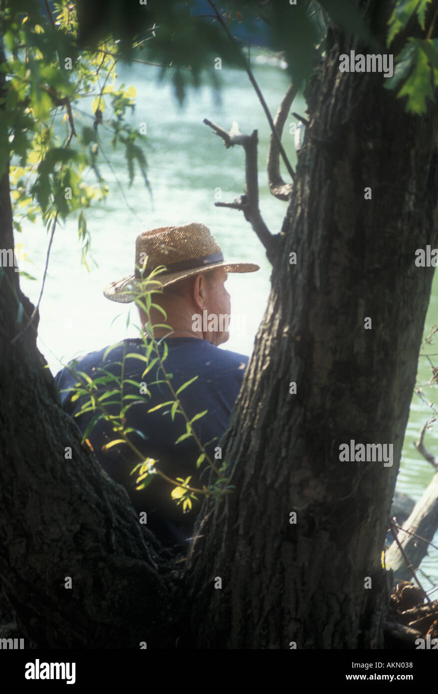 Man Sitting Under Tree by Lake Stock Photo - Alamy