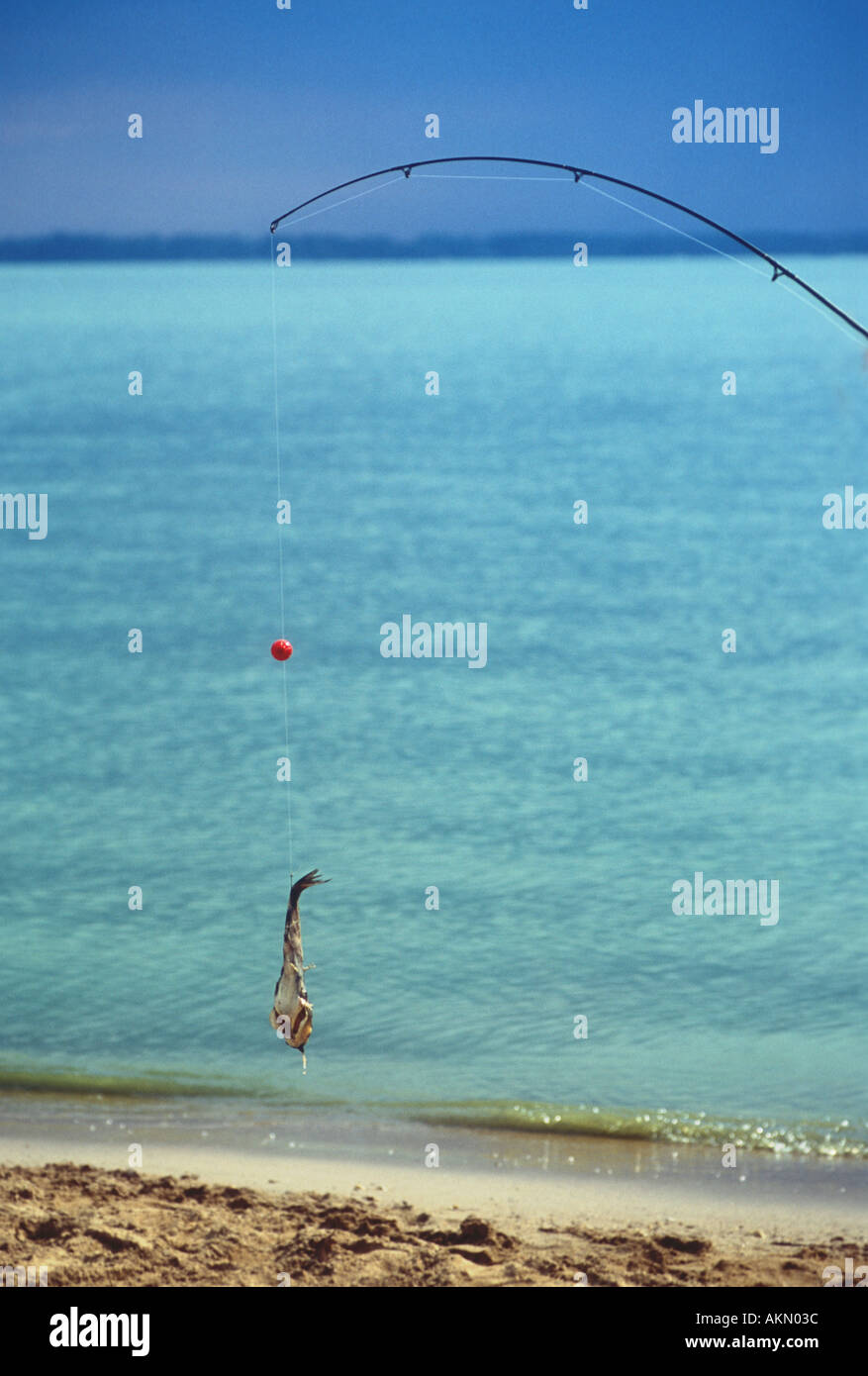 Hooked fish hi-res stock photography and images - Alamy