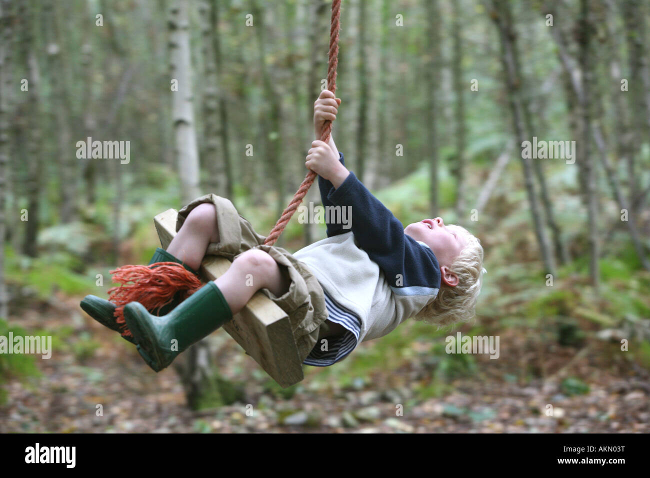 A young boy on a rope swing in some woodland Stock Photo - Alamy