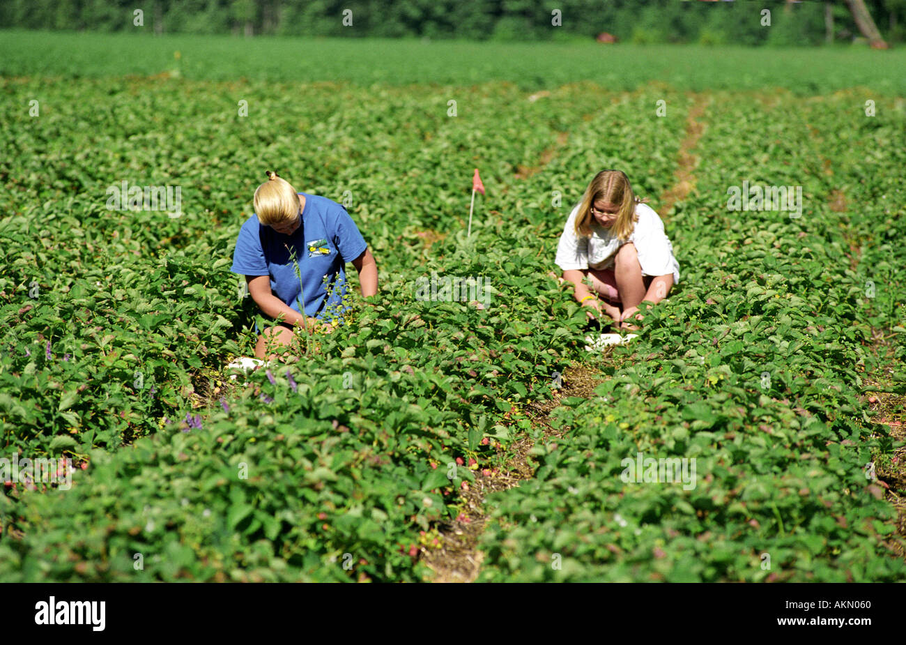 Important Occupation Part High Resolution Stock Photography and Images ...