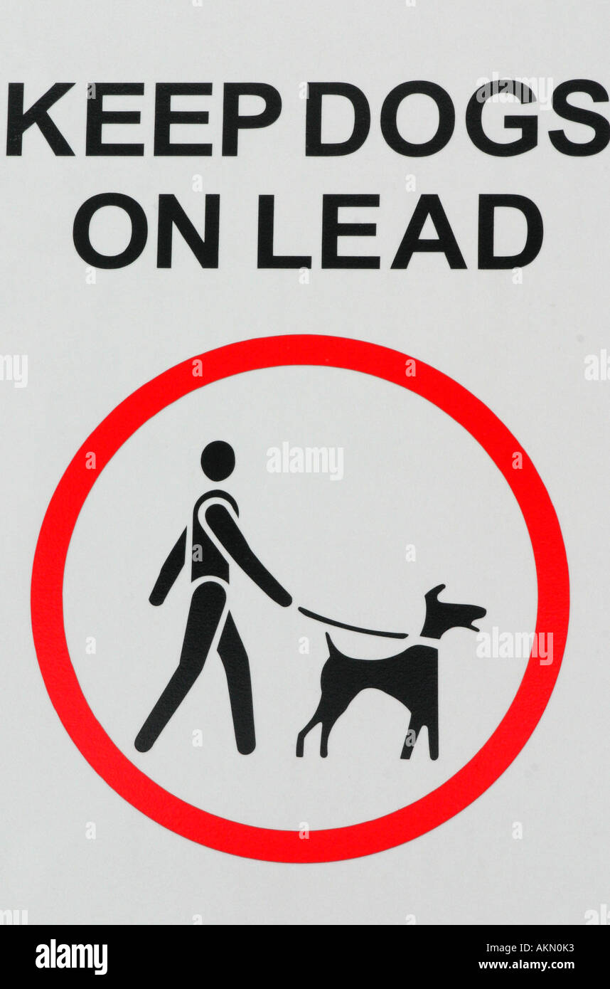 Keep Dogs Under Control Stock Photos & Keep Dogs Under Control Stock ...