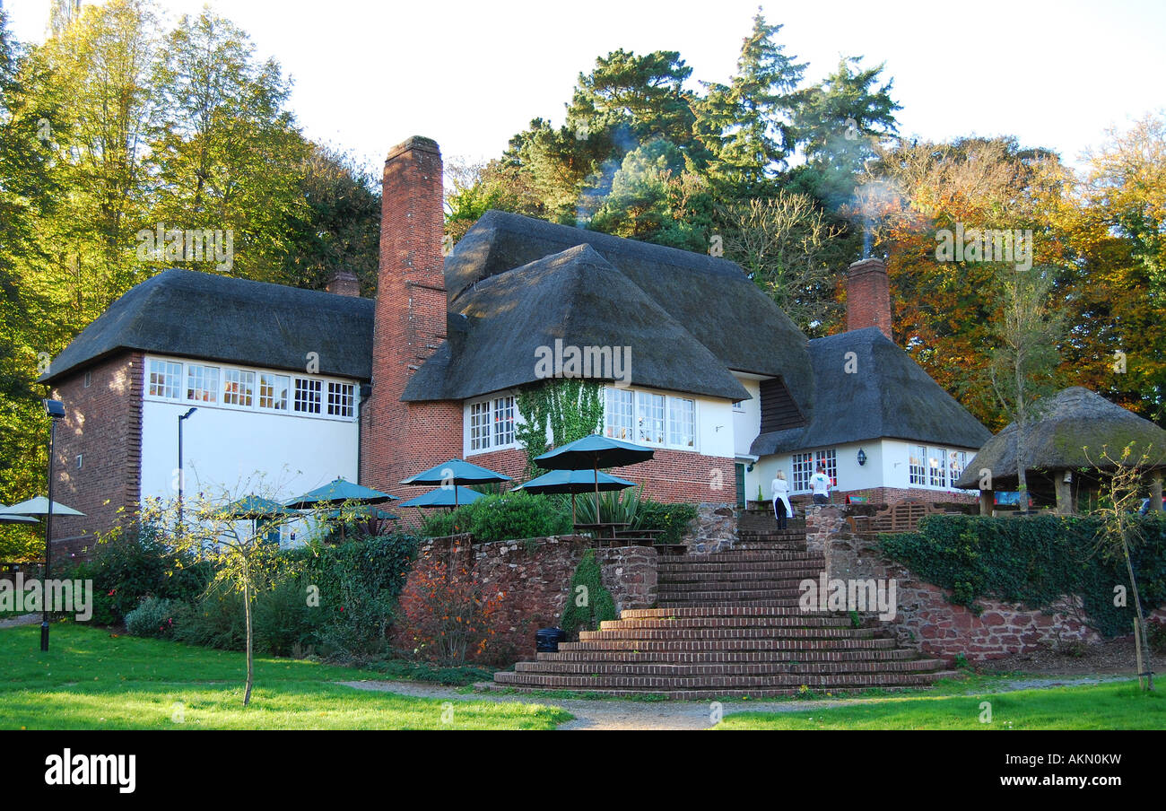 Devon Thatched roof public house Stock Photo - Alamy