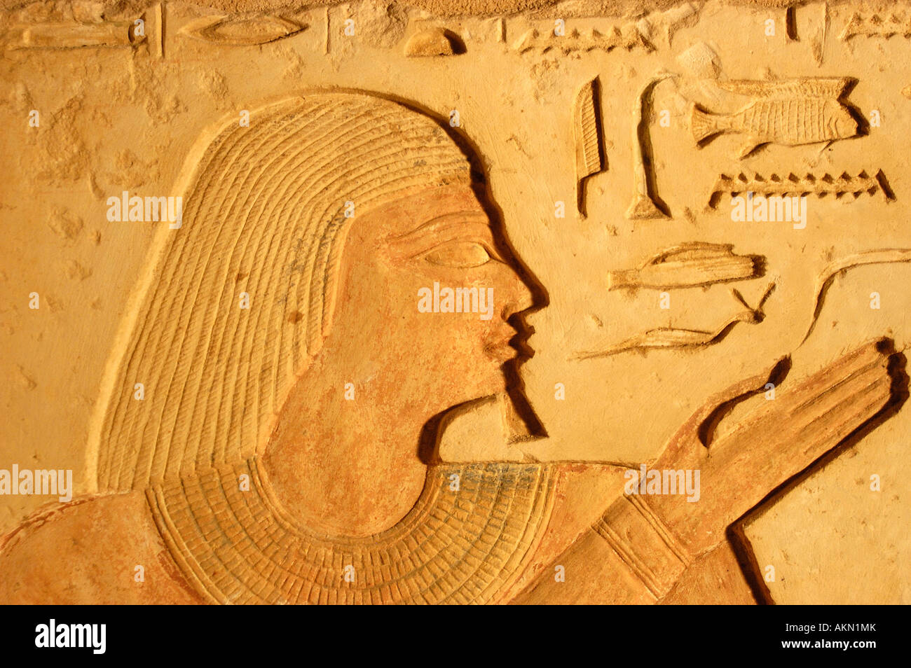 Hieroglyphs on a stone, Egypt Stock Photo - Alamy