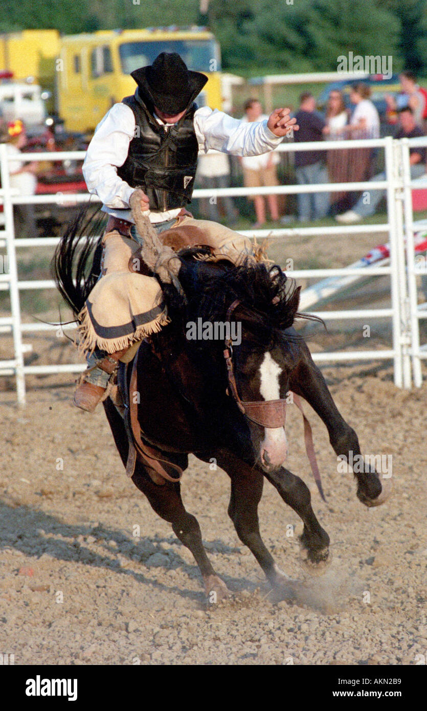 Rodeo horse sporting event Stock Photo - Alamy
