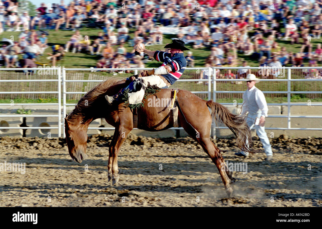 Rodeo horse sporting event Stock Photo - Alamy
