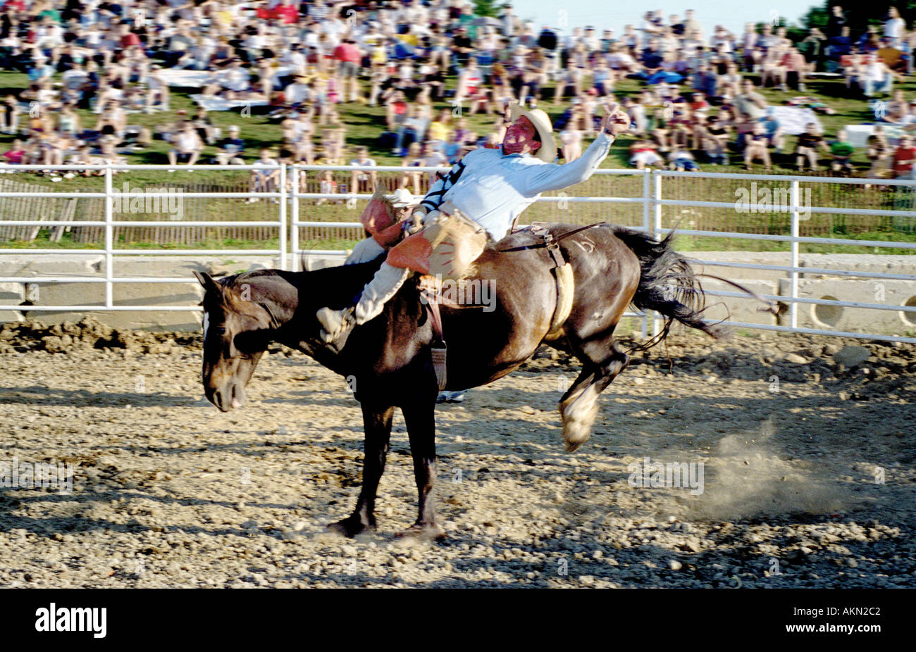 Rodeo horse sporting event Stock Photo - Alamy