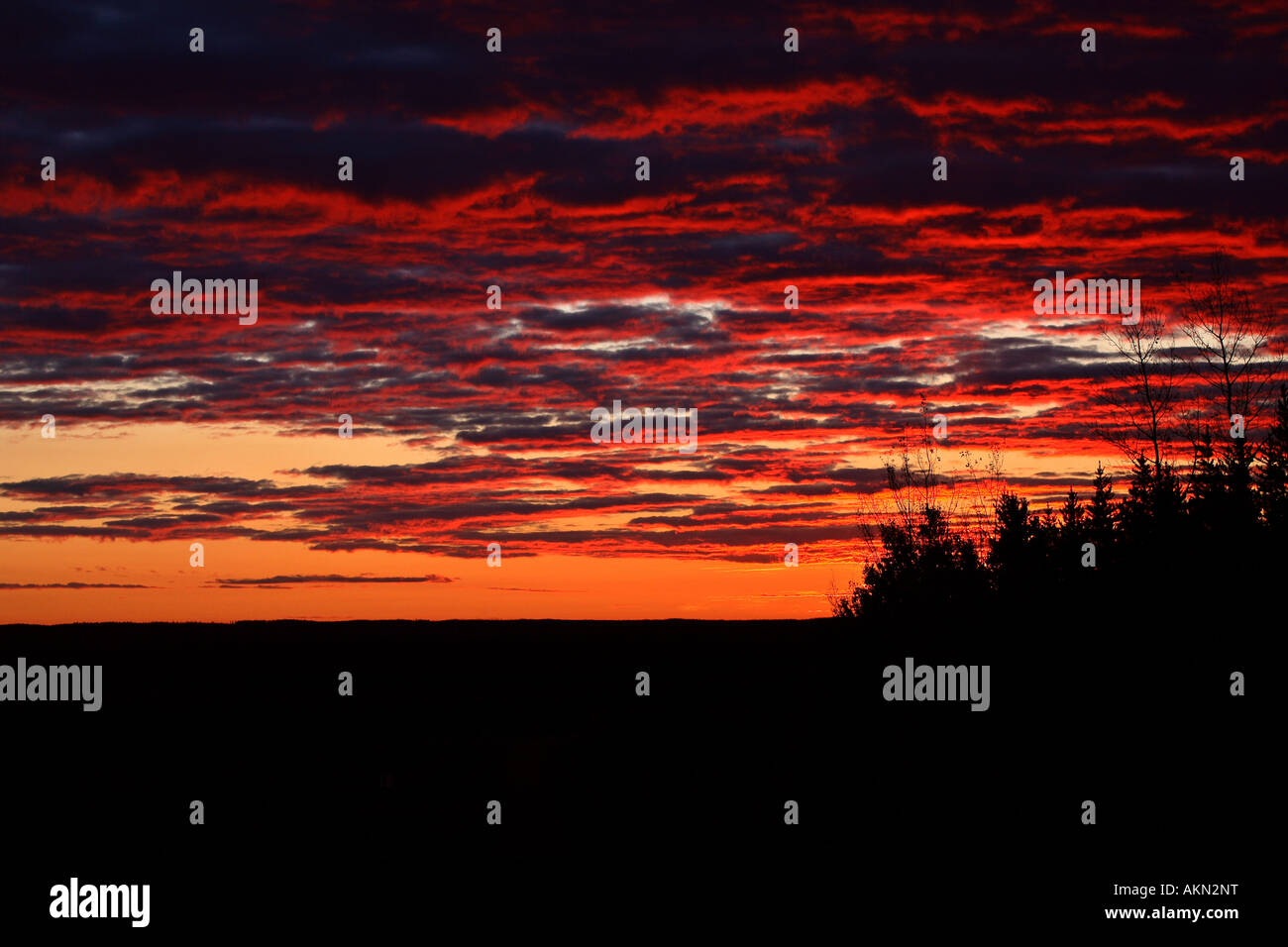 Colorful Sunset in Northern Saskatchewan Stock Photo - Alamy