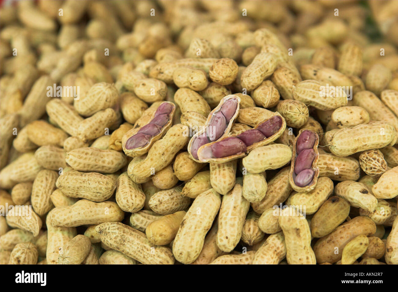 Pile of boiled peanuts in Thailand local market Stock Photo - Alamy