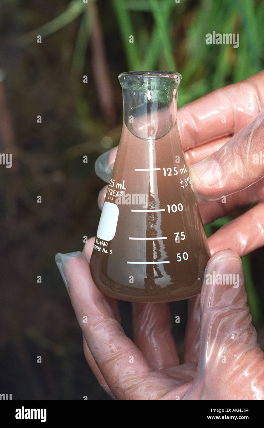 Muddy water from a pond is collected to test how safe the water is for ...