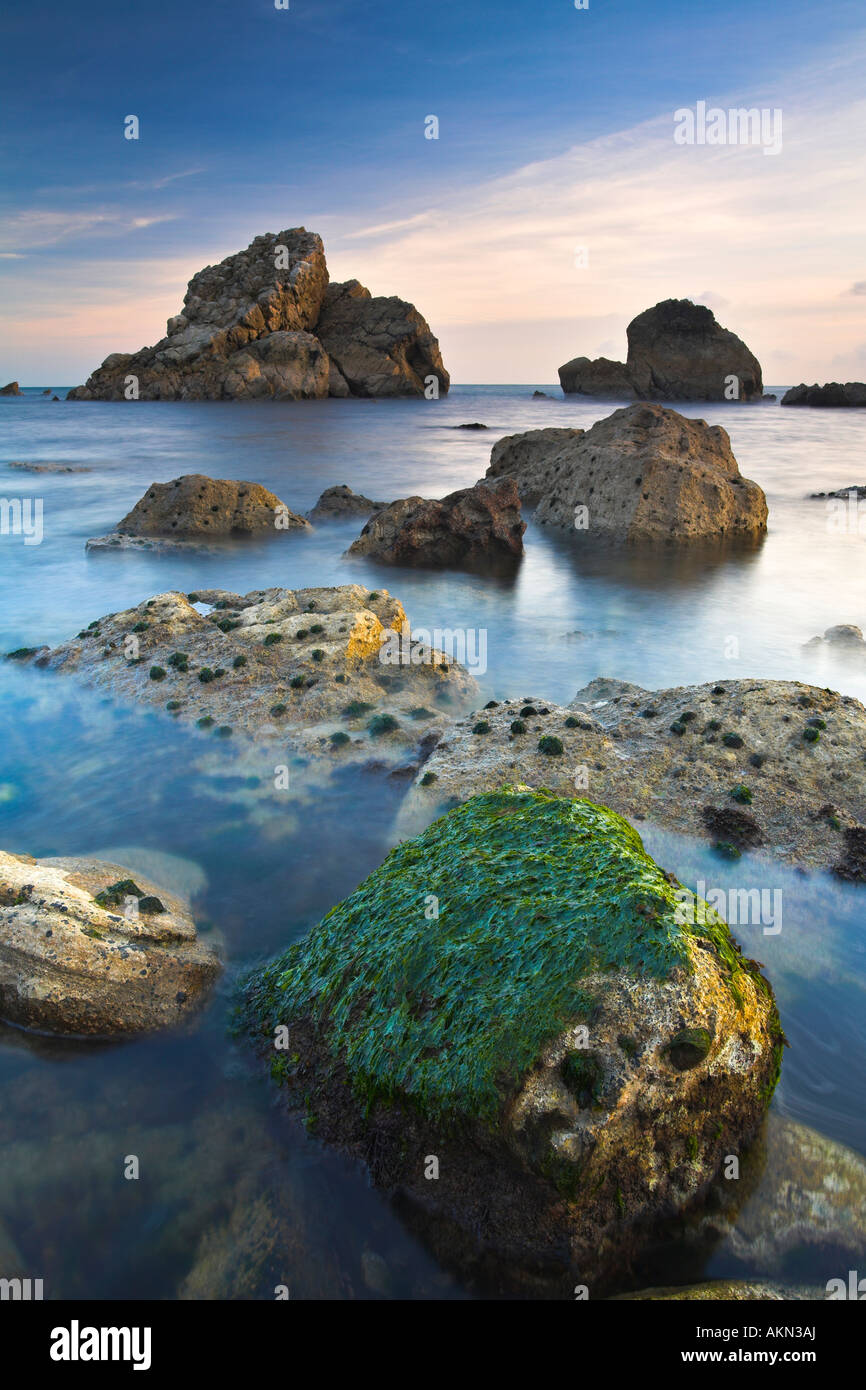 Rocky ledges and sea stacks of Mupe Rocks on Dorsets Jurassic Coast ...