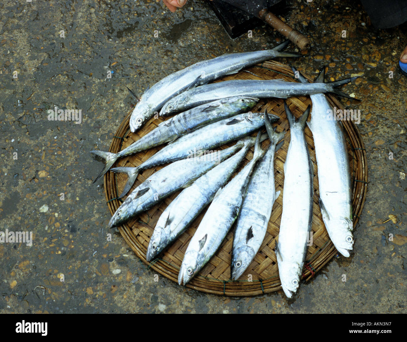 Bach dang st hi-res stock photography and images - Alamy