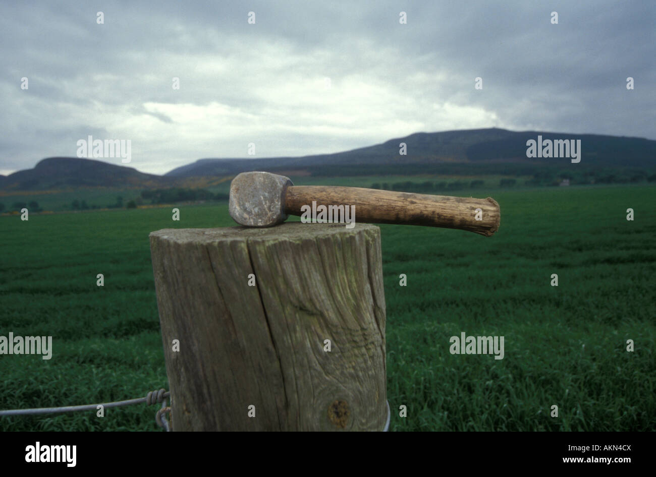 Dry stone Walling mash hammer resting on pillar Stock Photo - Alamy