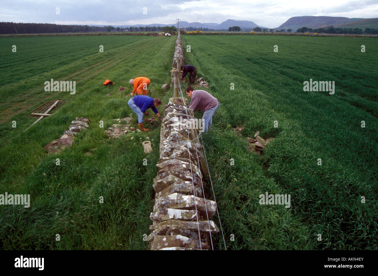 Masonary tools hi-res stock photography and images - Alamy