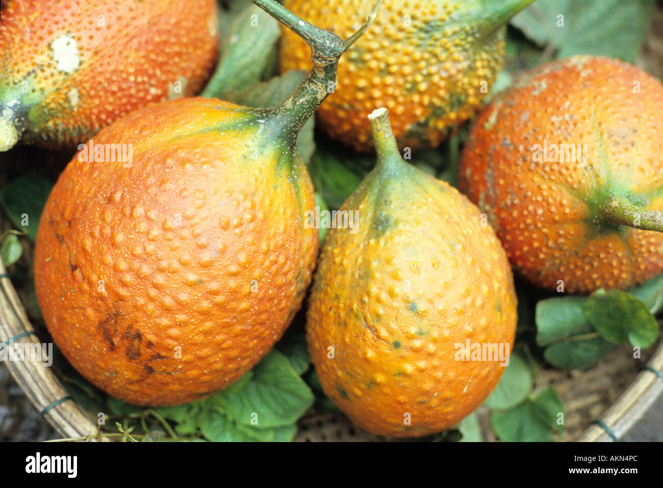 Trai gac fruit, Hoi An, Viet Nam Stock Photo - Alamy
