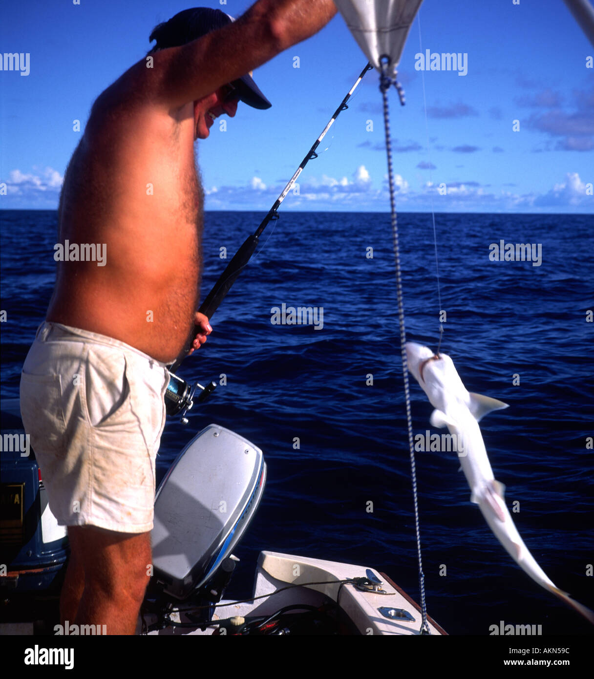 Man catching small shark Stock Photo - Alamy