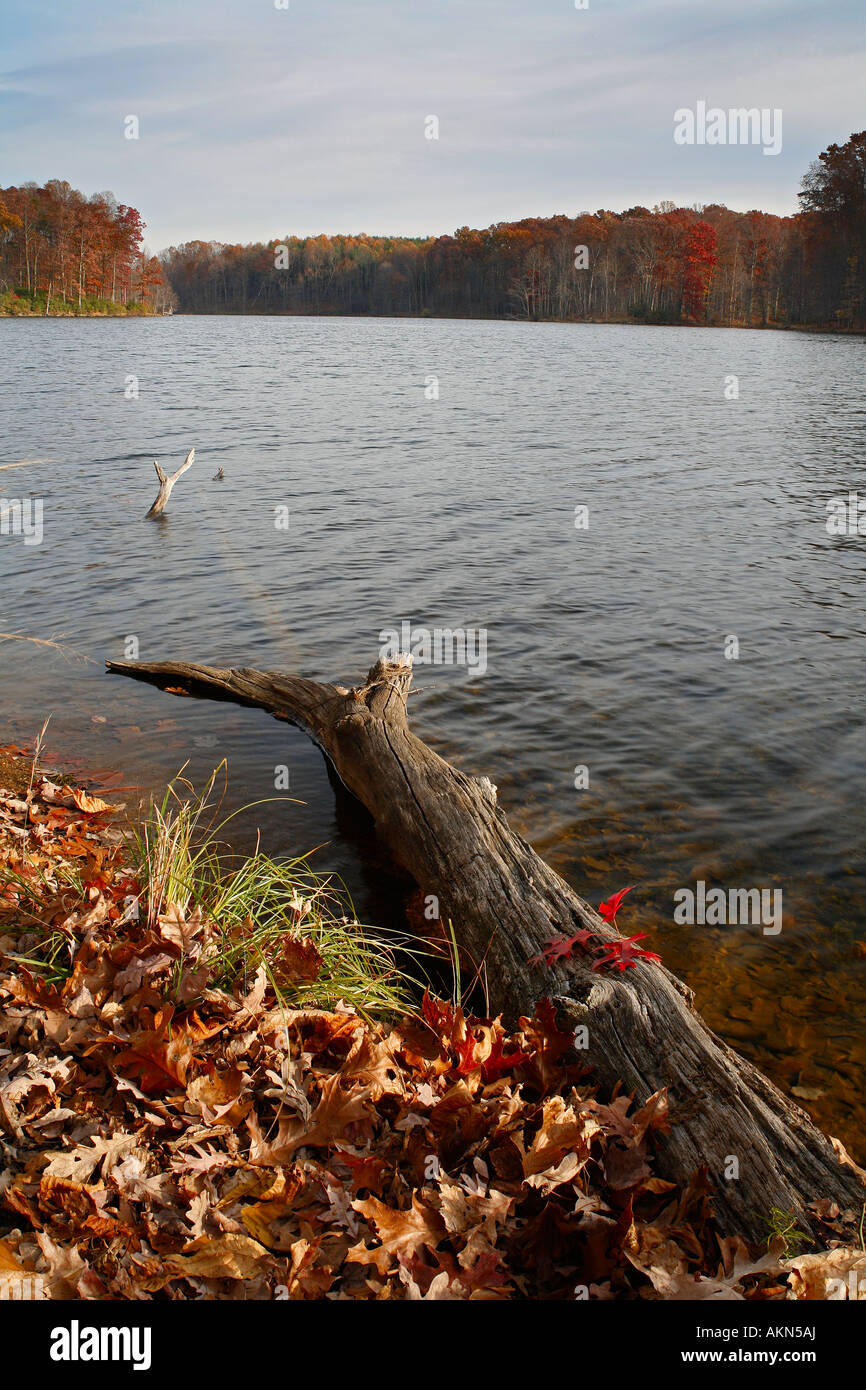 Seneca creek state park, maryland hi-res stock photography and images ...
