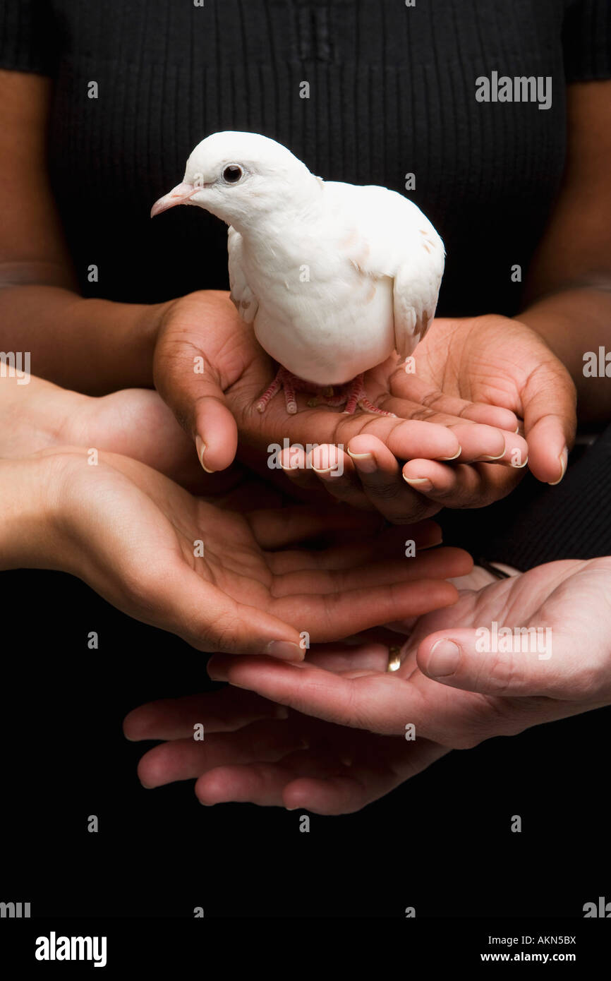 A woman holding a bird Stock Photo - Alamy