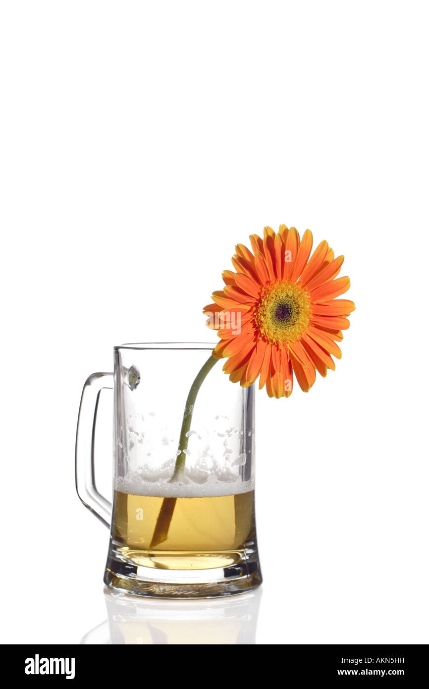 Stout flower stalk hi-res stock photography and images - Alamy