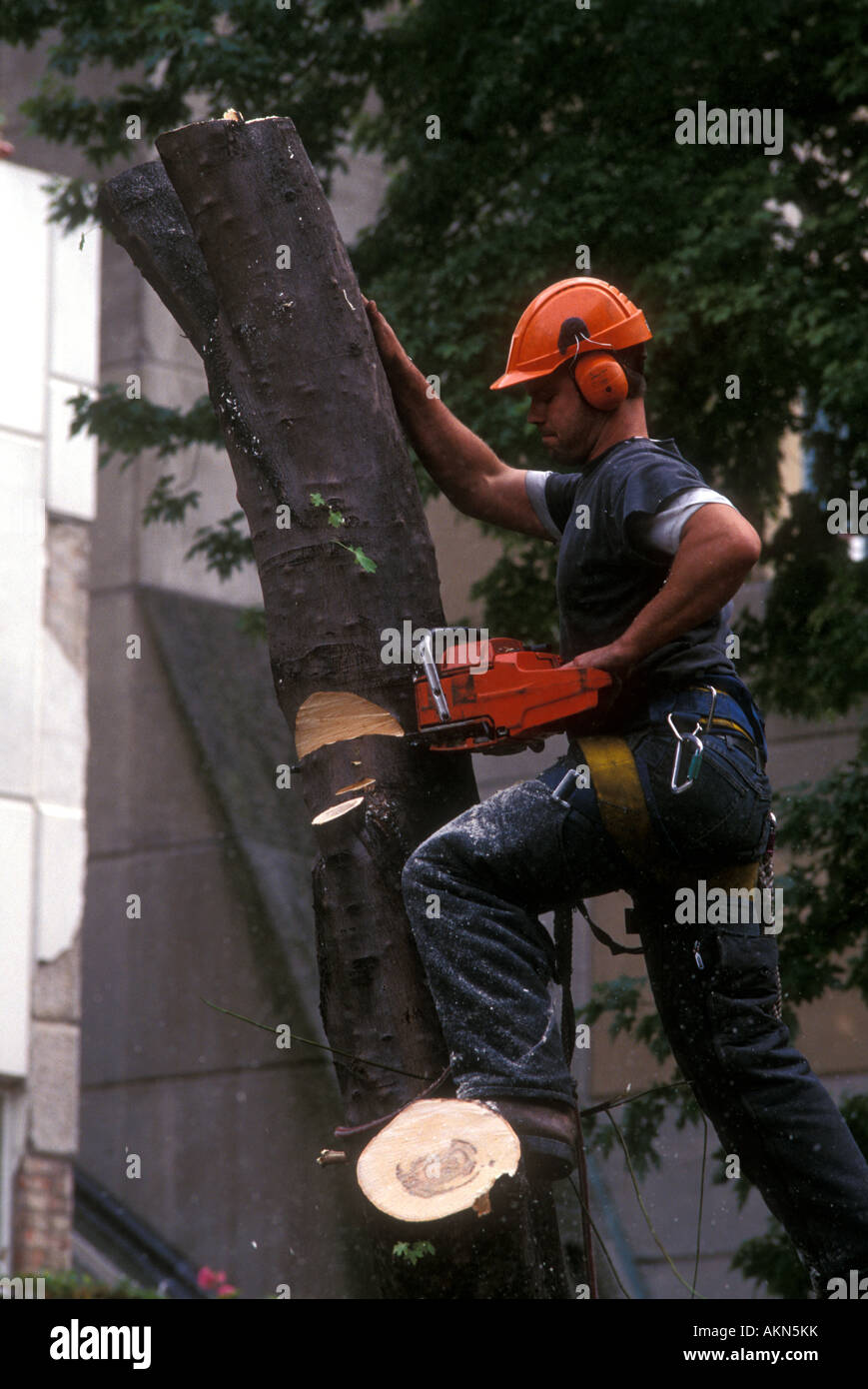 Arborist sign hi-res stock photography and images - Alamy