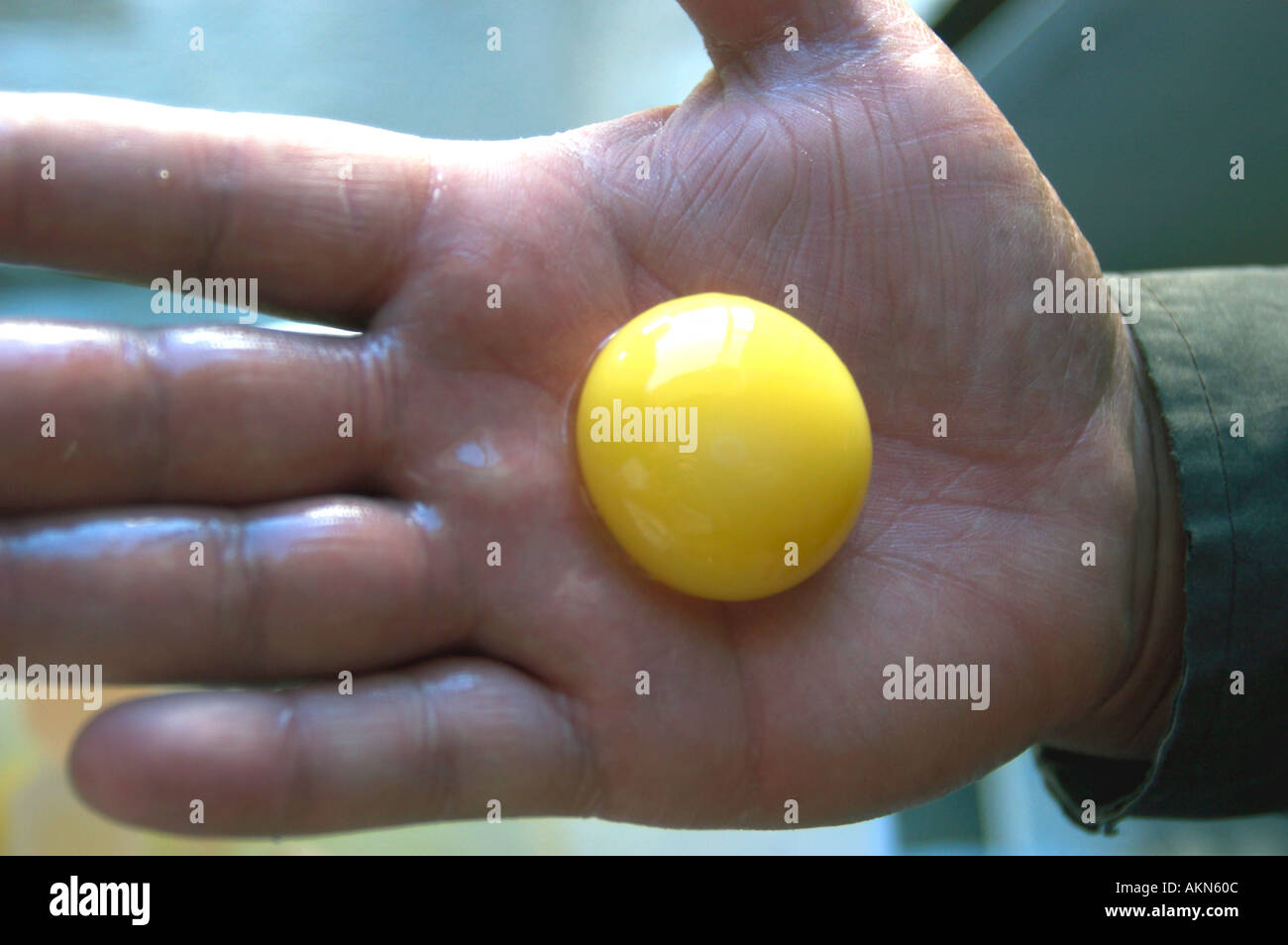 egg in hand Stock Photo - Alamy