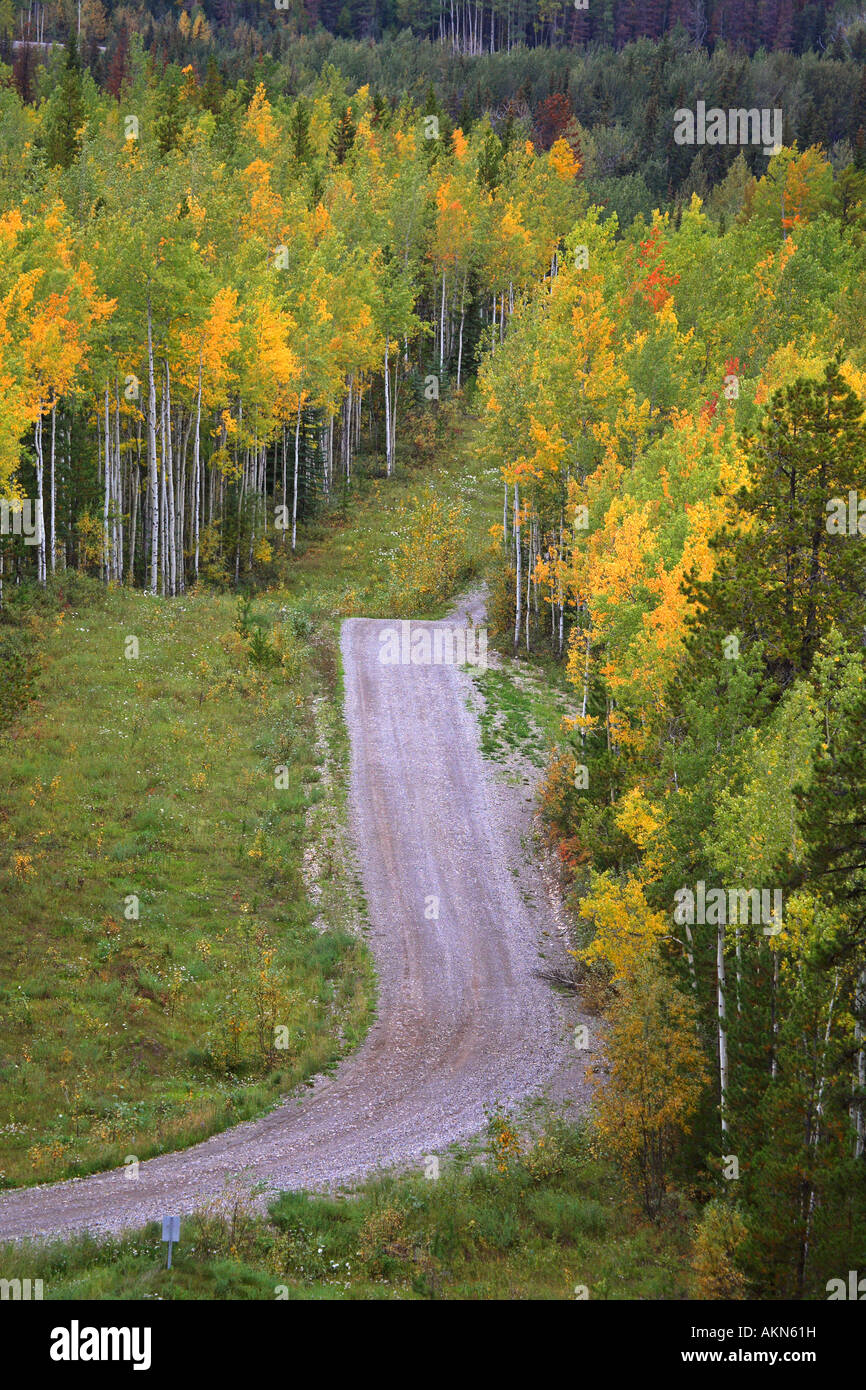 Logging road through mountains in autumn Stock Photo - Alamy