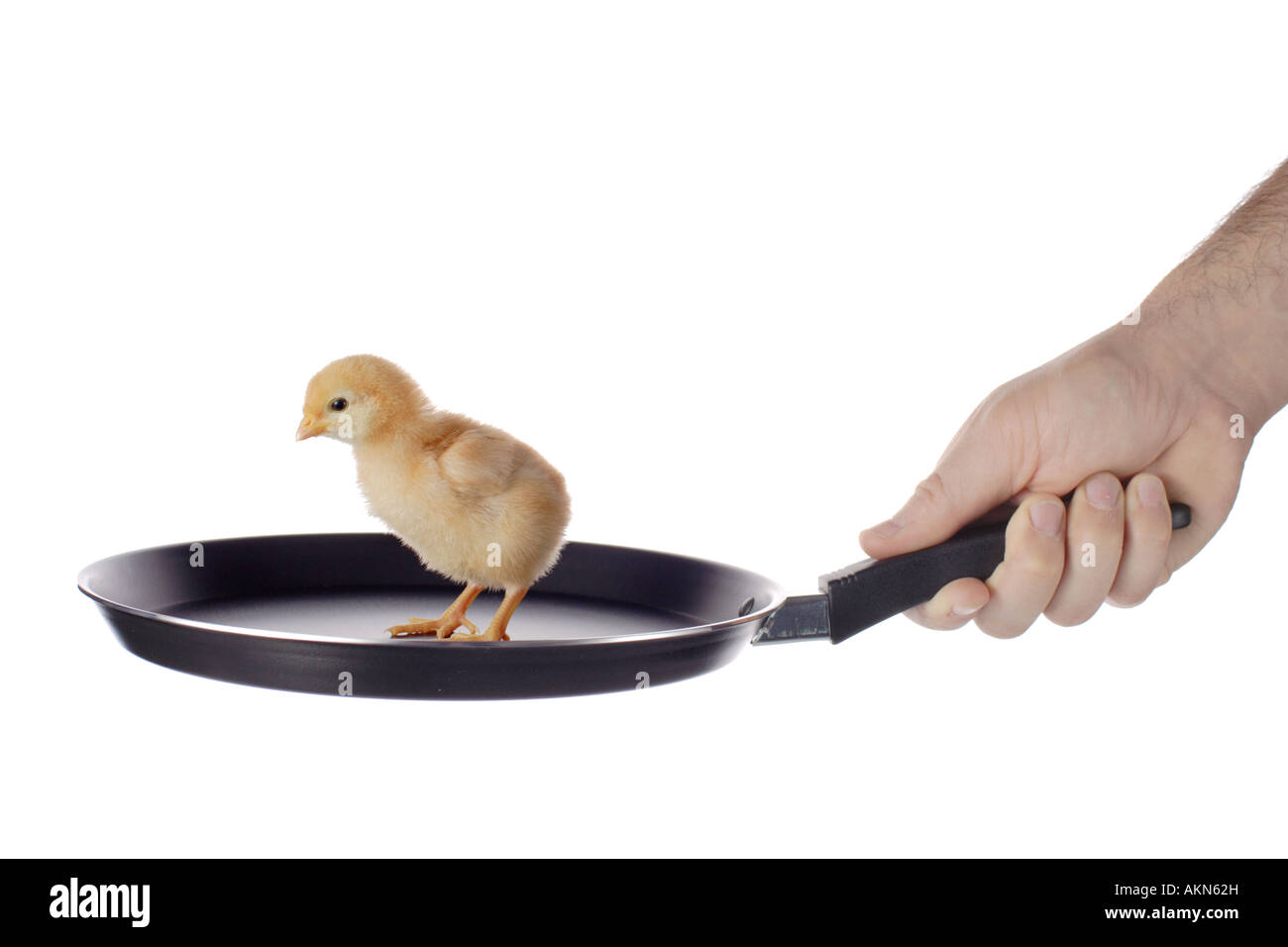 Almost ready hatch hi-res stock photography and images - Alamy