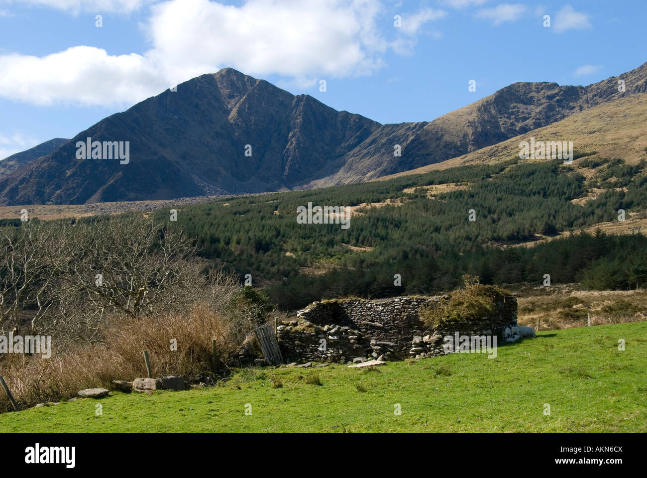 Brandon Mountain, Dingle Peninsula, County Kerry, Ireland Stock Photo ...