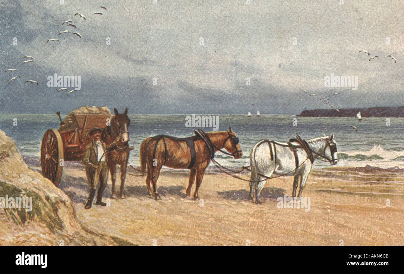 Picture postcard Carting Sand on the Norfolk Coast by artist 'Jotter ...
