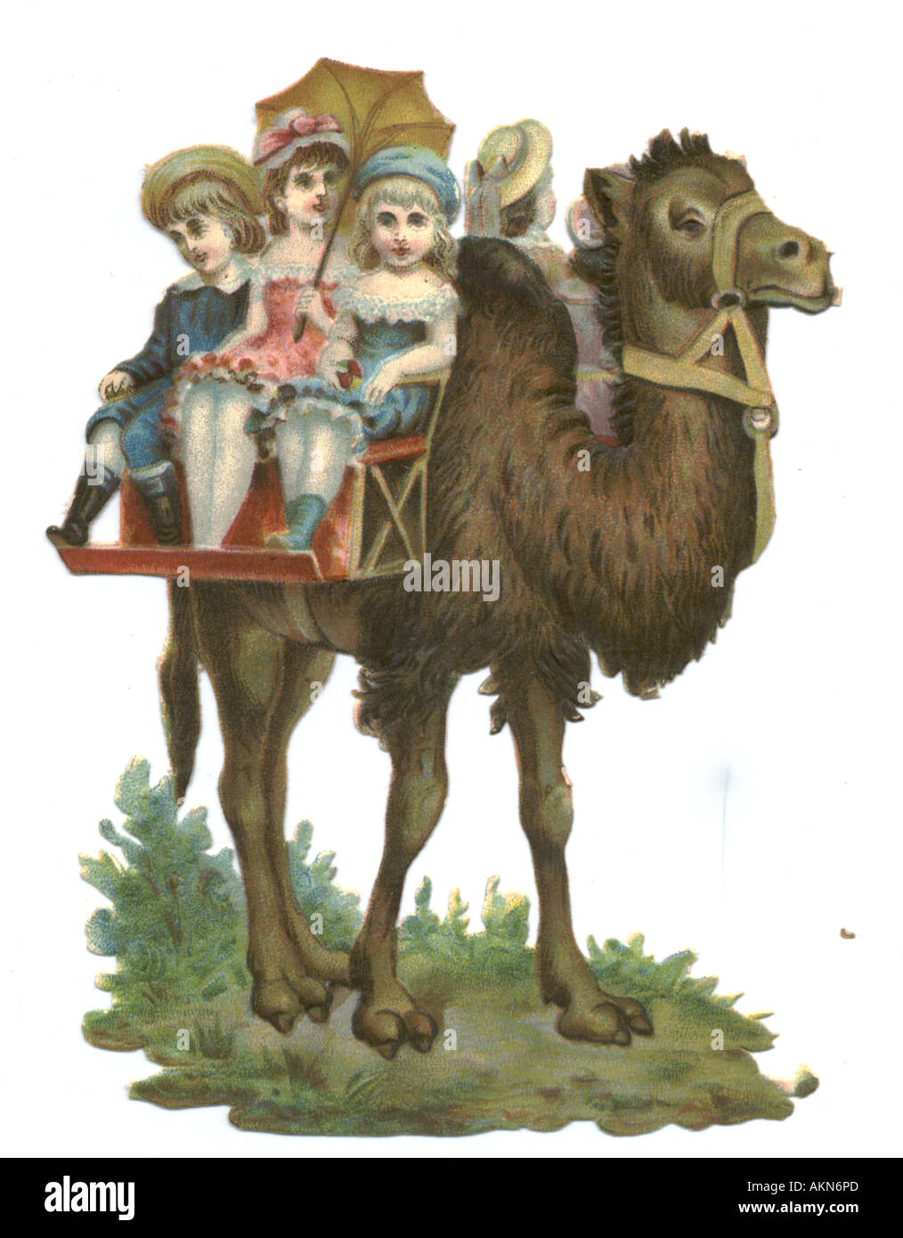 A howdah hi-res stock photography and images - Alamy