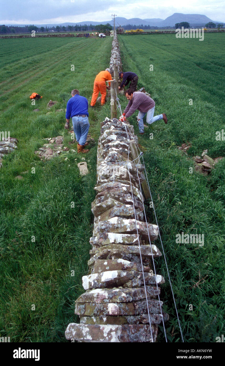 Plumb line wall hi-res stock photography and images - Alamy