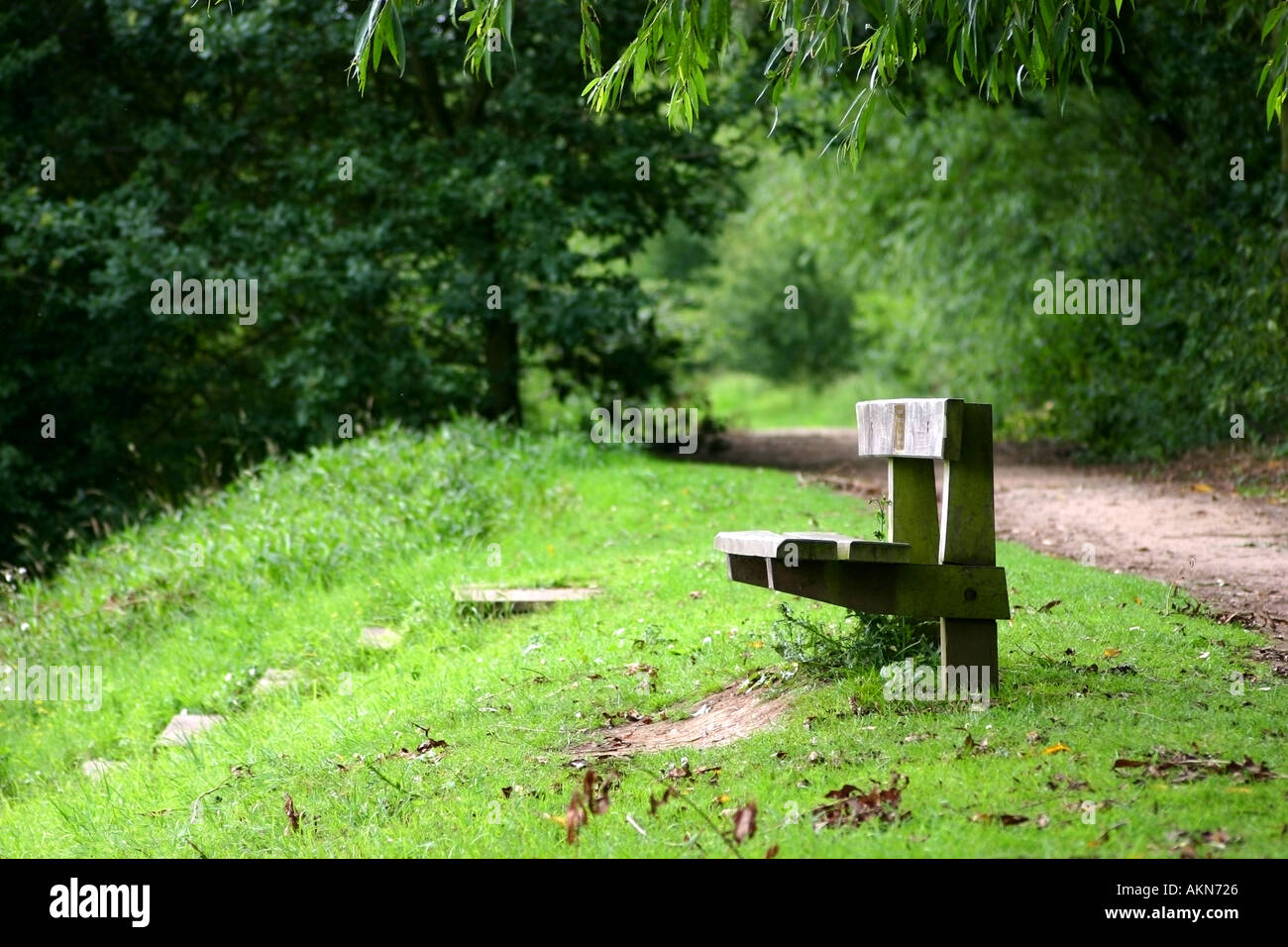 Peaeful walk in woods peace walk woods walking ramble rambling bench ...