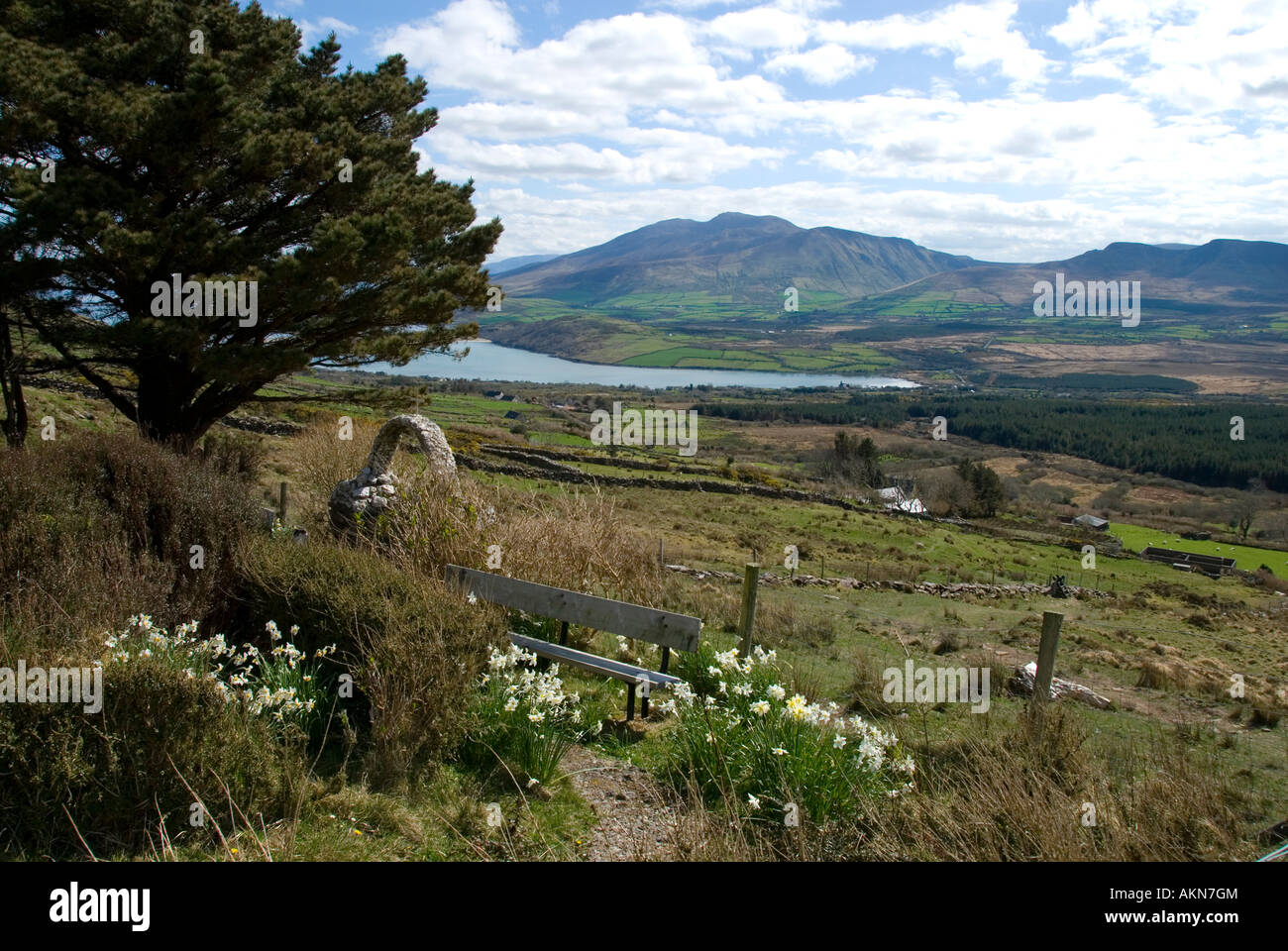 Stradbally ireland hi-res stock photography and images - Alamy
